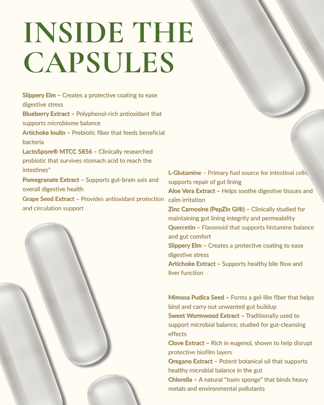 Luum Corewell™ | Daily Gut Wellness Support